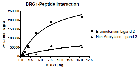 SMARCA4/BRG1 Inhibitor Screening Assay Kit | West Bioscience