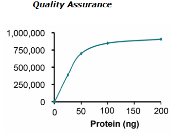 Human MAPKAPK2 protein| West Bioscience