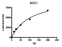 Human ACC1, His-tag protein | West Bioscience