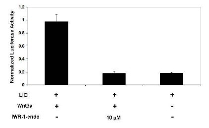 Wnt activity reporter cell Kit ( TCF/LEF) | West Bioscience