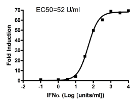 ISRE reporter cell line (JAK pathway) | West Bioscience