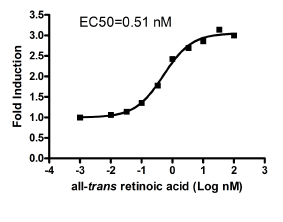 TCF/LEF reporter-HEK293 cell line (Wnt Signaling Pathway) | West Bioscience